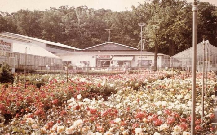 About Alsip Alsip Home And Nursery Chicagoland And Nw Indiana Garden Center